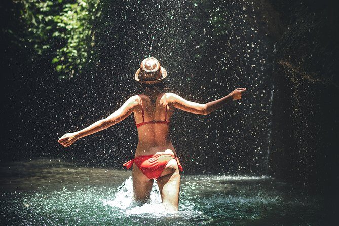 Trinidad Rainforest Hike to Waterfall - An In-Depth Look at the Trinidad Rainforest Hike