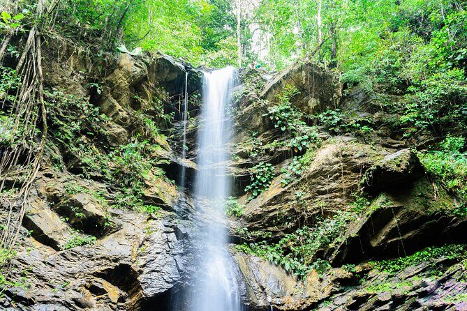 Trinidad Rainforest Hike to Waterfall - FAQ