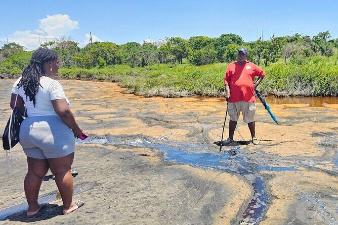 Trinidad Treasures Pitch Lake Temple and Scarlet Ibis - The Practical Side: What to Expect