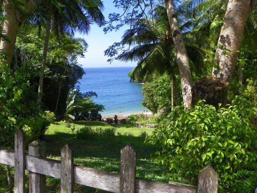 Trinidad: Zip Lining Experience & Fort George Panoramic View - The Sum Up