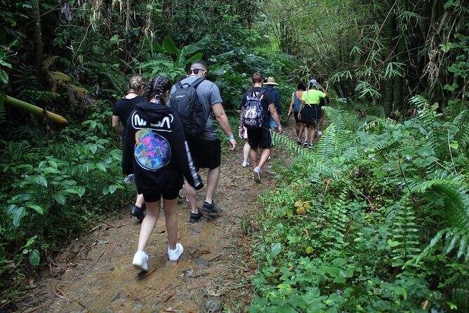 Trio Tour: El Yunque, Luquillo Beach, and Bio Bay Night Kayaking - Final Words: Is It Worth It?