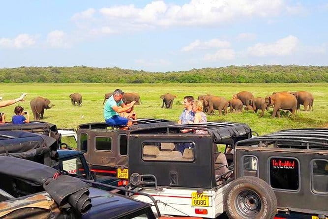 trip sri lanka (10 Days , 9 Nights) with driver, vehicle and H/B accommodations - Who Should Consider This Tour?