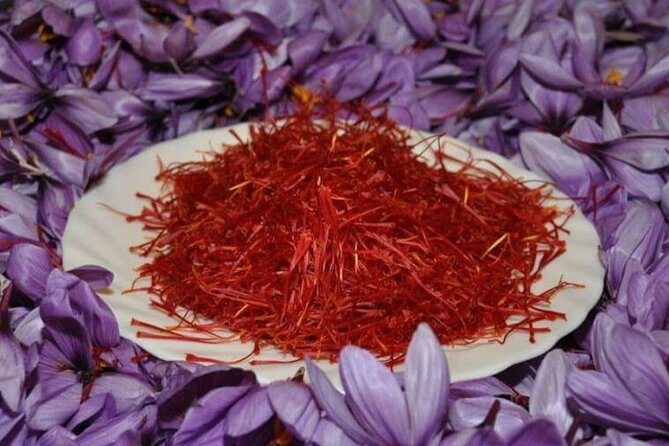 Trip to Abruzzo - Frequently Asked Questions