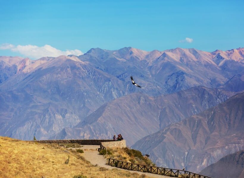 Trip to Colca Canyon 2 Days + Transfer to Puno with Meals - Key Points