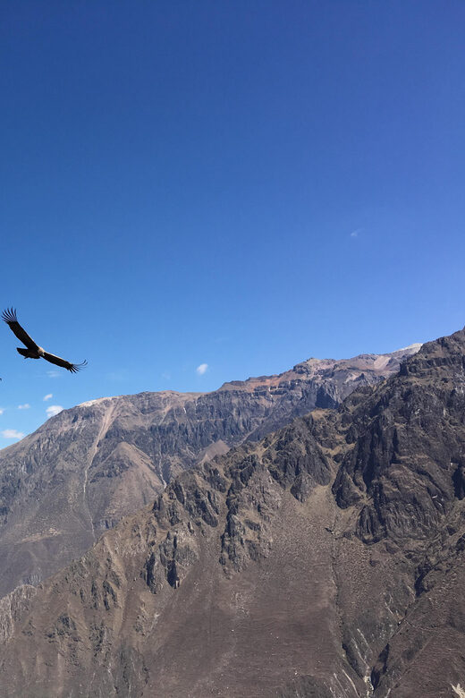 Trip to Colca Canyon 2 Days + Transfer to Puno with Meals - Authenticity and Experience