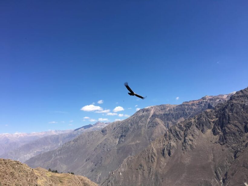 Trip to Colca Canyon 2 Days + Transfer to Puno with Meals - Final Thoughts