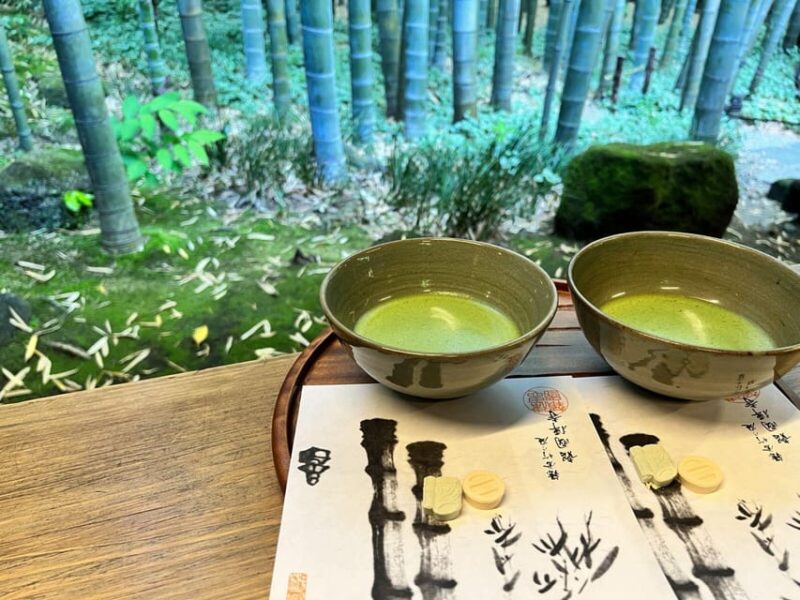 Trip to Kamakura & Enoshima: Shrines, Seaside, Temples &Tea - Key Points