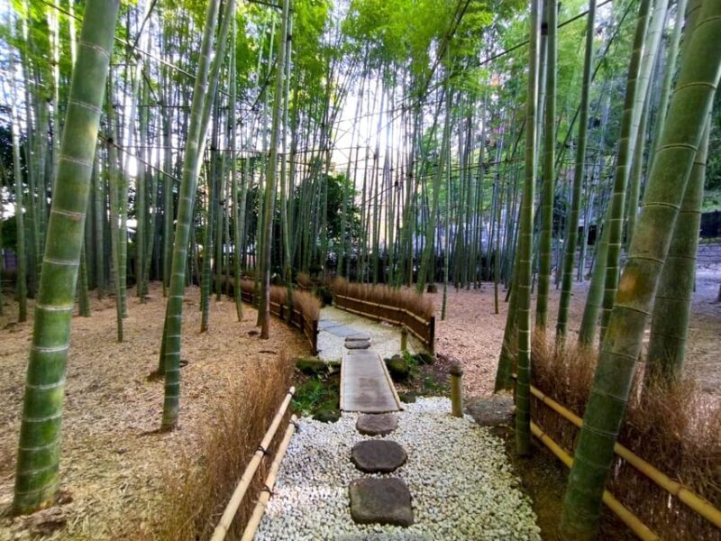 Trip to Kamakura & Enoshima: Shrines, Seaside, Temples &Tea - Itinerary Highlights