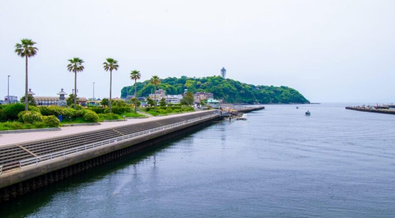 Trip to Kamakura & Enoshima: Shrines, Seaside, Temples &Tea - Visit to Kōtoku-in (Great Buddha)