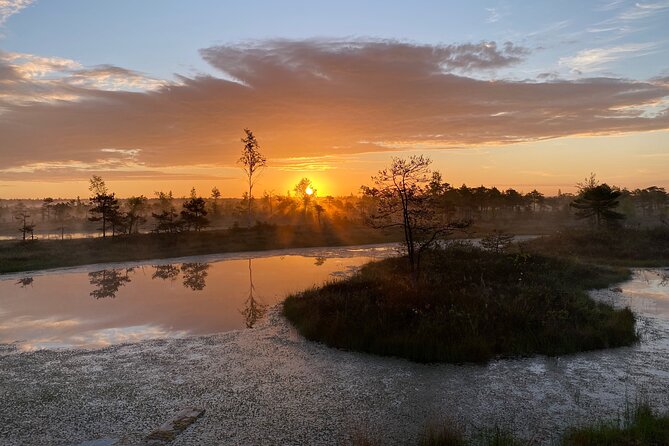 Trip to Kemeri National Park & Jurmala From Riga - Transportation and Amenities