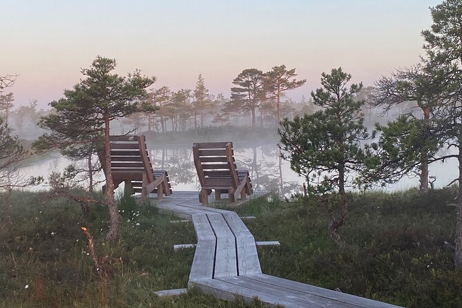 Trip to Kemeri National Park & Jurmala From Riga - Tour Guide Experience