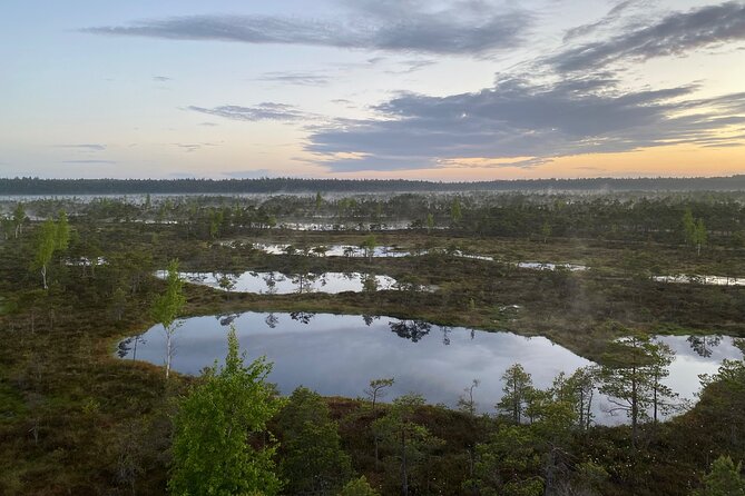 Trip to Kemeri National Park & Jurmala From Riga - Travelers Recommendations