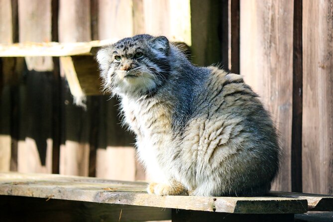 Trip to Ranua Wildlife Park - Final Thoughts