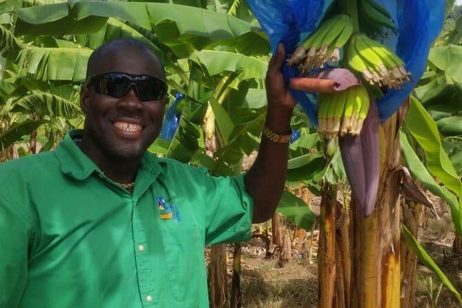 Trip to Soufiere: Volcano, Twin Pitons, Waterfall, Mud Bath & Botanical Garden - FAQ