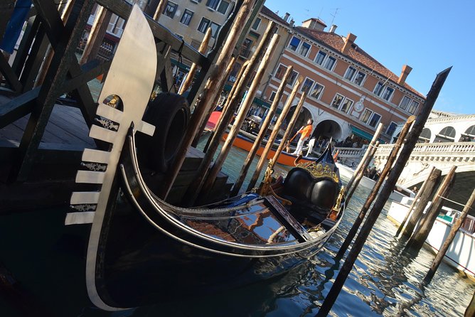 Trip to Venice from Piran with a comfortable van - The Experience: What to Expect on the Tour