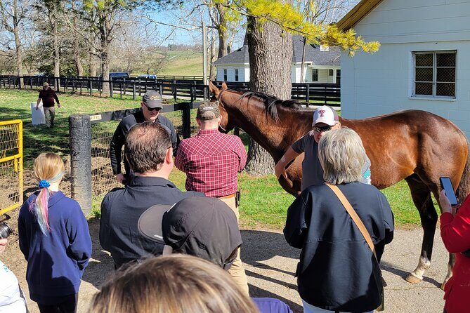 Triple Crown Experience - Who Should Consider This Tour?