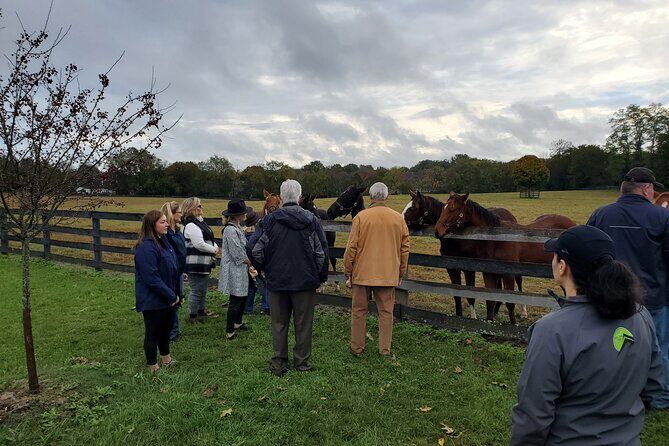 Triple Crown Experience - Final Thoughts