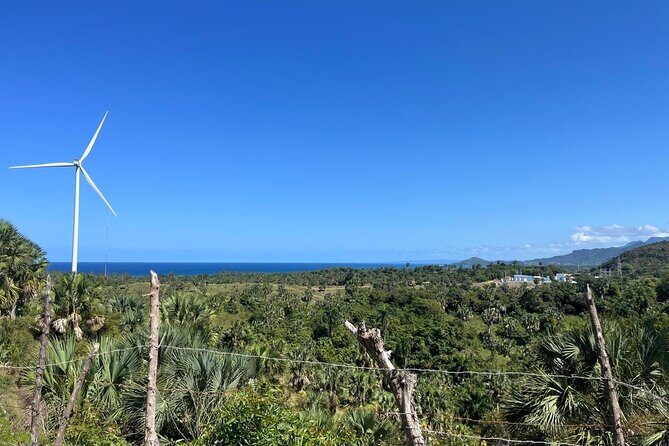 Triple Family Adventure - Waterfalls, Zipline & ATV Tour w/ Lunch - Who Should Consider This Tour?