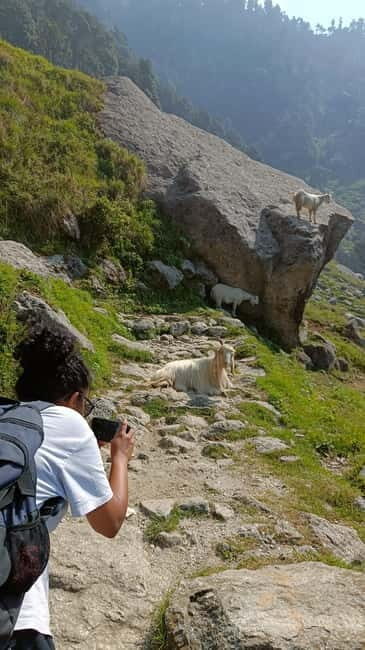 Triund Day hike | Alt 2870 Mtr - An Invitation to a Popular Himalayan Trail