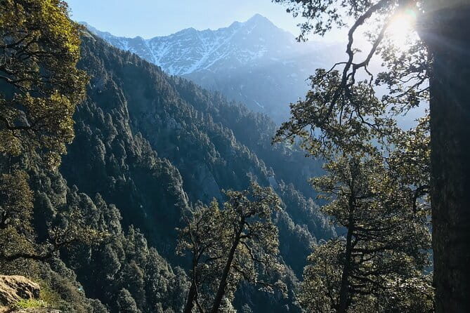 Triund Trek & Snow Line Trek - Final Thoughts