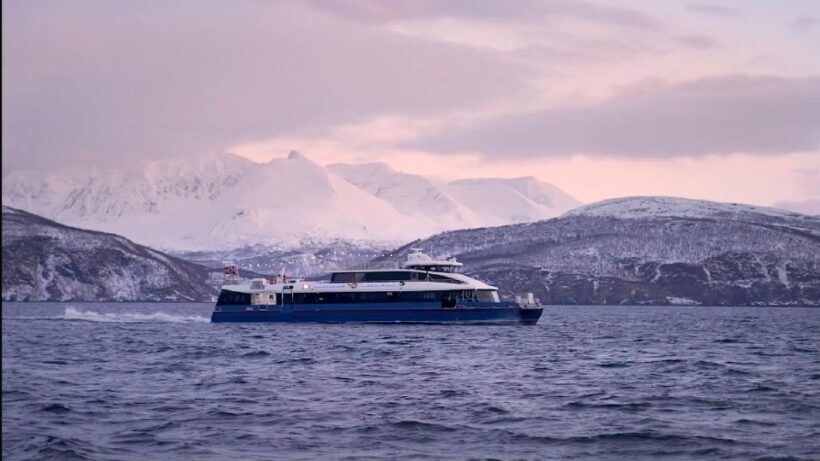 Tromsø: Arctic Fjord Cruise in Polar Landscapes - The Sum Up