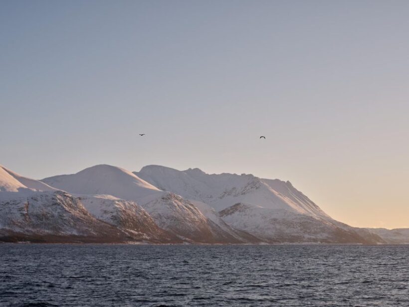 Tromsø: Arctic Fjord Cruise in Polar Landscapes - FAQ