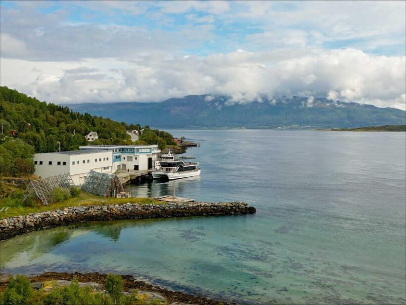 Tromsø: Arctic Fjord Cruise With Stop On Land At Fish Racks - Final Thoughts
