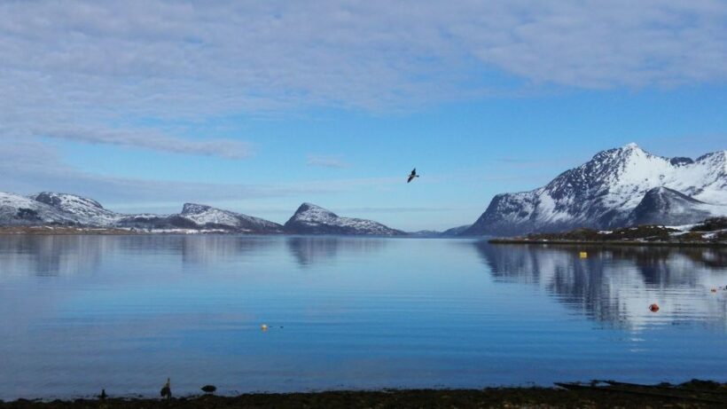 Tromsø: Arctic Landscape and Fjord Tour with Snacks - What Travelers Say