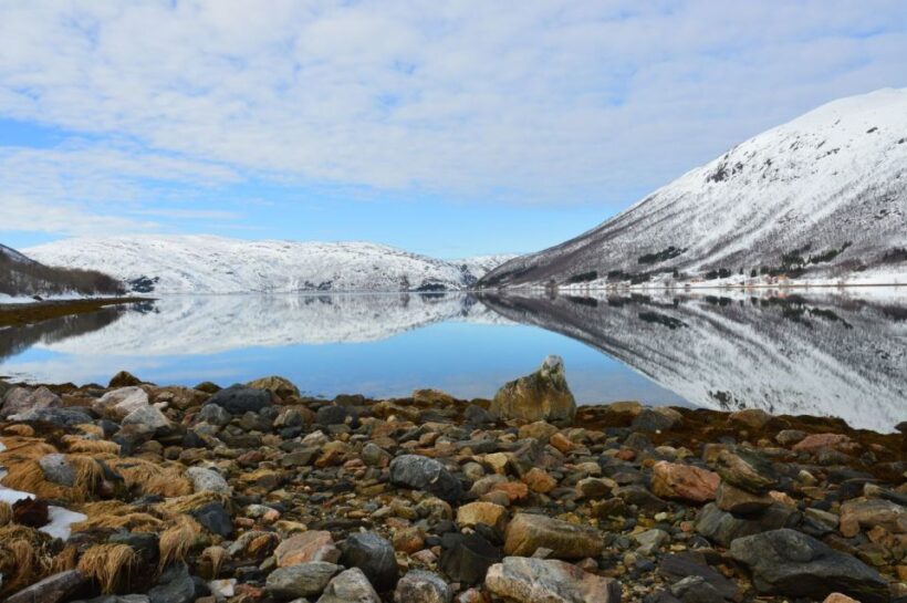 Tromsø: Arctic Landscape and Fjord Tour with Snacks - Who Will Love This Tour?