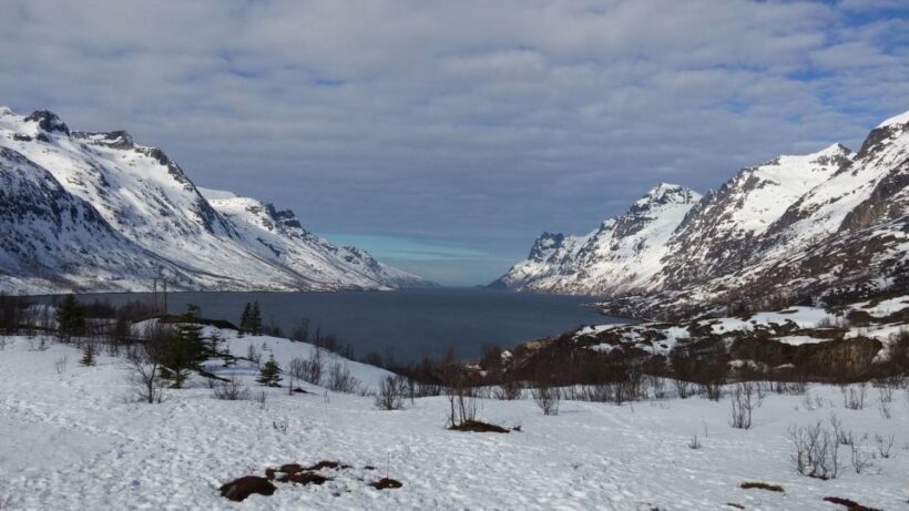 Tromsø: Arctic Landscape and Fjord Tour with Snacks - Final Thoughts