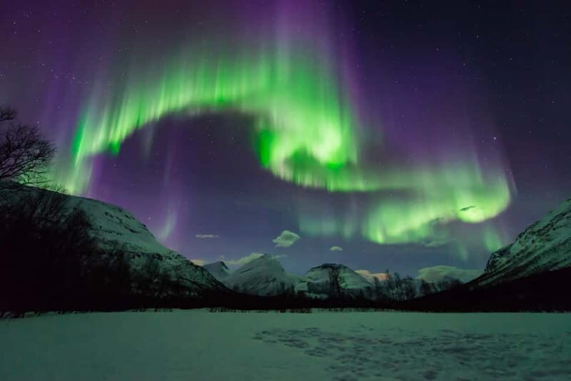 Tromsø: Aurora Hunt with Citizen Science - An In-Depth Look at the Aurora Hunt Experience