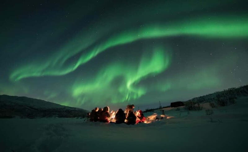Tromsø: Aurora Hunt with Citizen Science - Who Will Love This Tour?