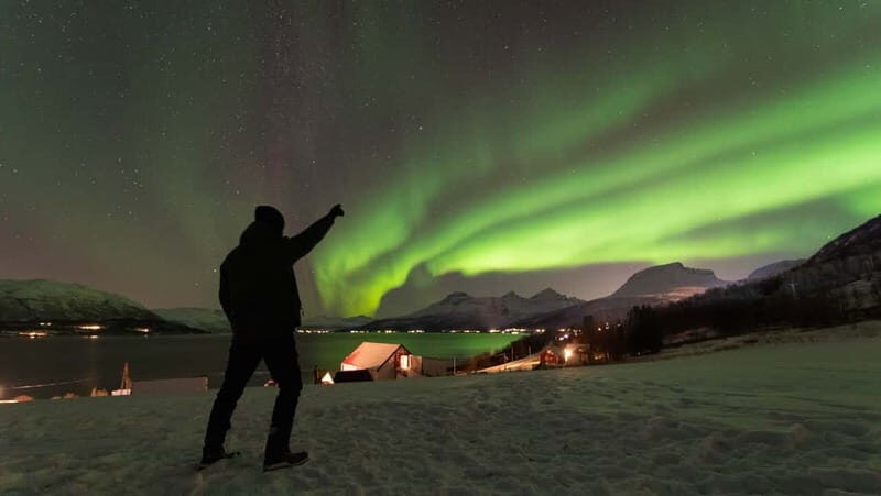 Tromsø: Aurora Safari Chase by big bus with Camp meal - Who Will Love This Tour?