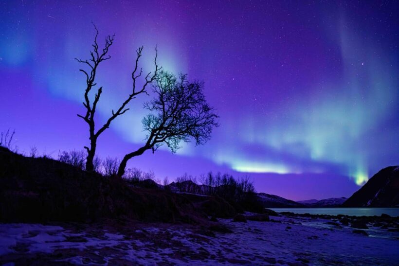 Tromsø: Aurora Tour with Campfire and Professional Photos - Who Would Love This Tour?