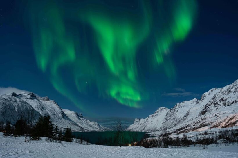 Tromsø: Aurora Tour with Campfire and Professional Photos - Pricing and Value