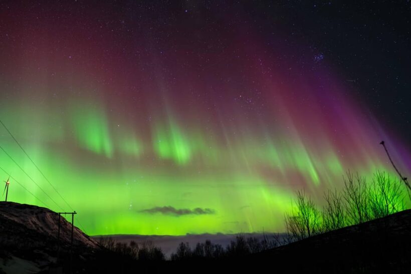 Tromsø: Aurora Tour with Campfire and Professional Photos - FAQ