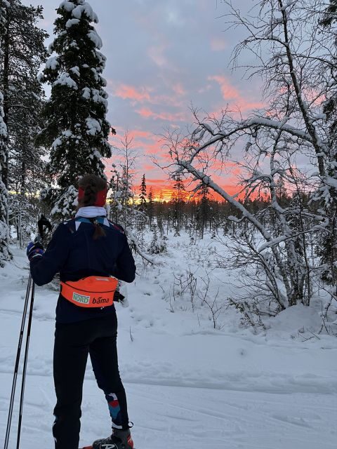 Tromsø: Cross Country Guided Skiing Course - Key Points