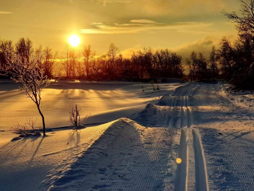 Tromsø: Cross Country Guided Skiing Course - Final Thoughts