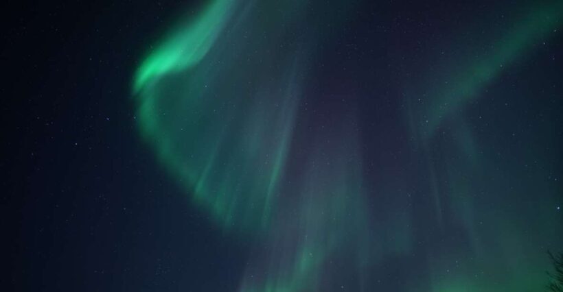 Tromsø: Evening Cruise with Northern Lights Opportunity - Tromsø: Evening Cruise with Northern Lights Opportunity