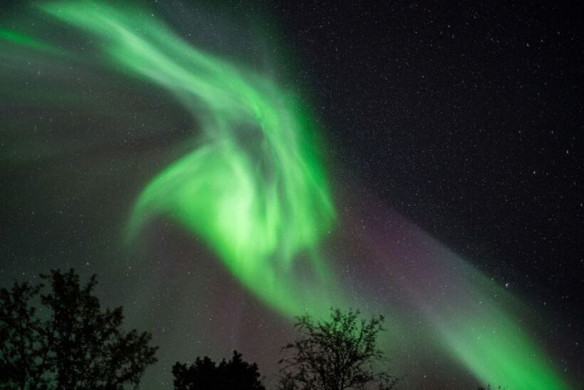 Tromsø: Evening Cruise with Northern Lights Opportunity - Final Thoughts: Is It Worth It?