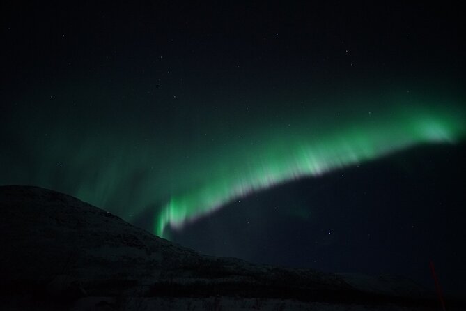 Tromsø: Evening Cruise with Northern Lights Opportunity - Authentic Voices from the Reviews