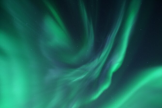 Tromsø: Evening Cruise with Northern Lights Opportunity - The Bottom Line: Who Should Consider This Tour?