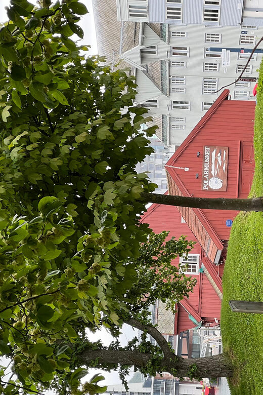 TROMSØ: Explore The City And a Guided Tour Of PolarMuseum! - Authentic Insights from Reviews