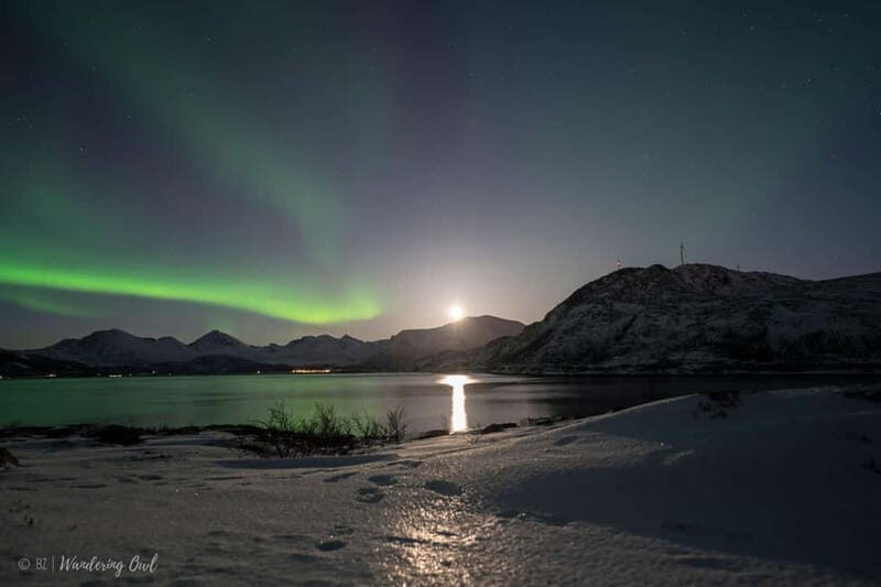 Tromsø: Express Aurora Hunt - Who Should Consider This Tour?
