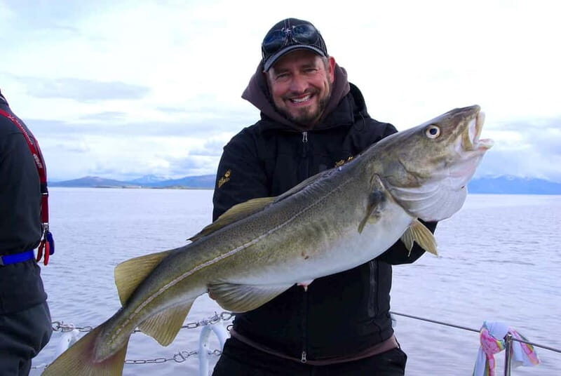 Tromsø: Fishing Sea Safari - Who Should Consider This Tour?