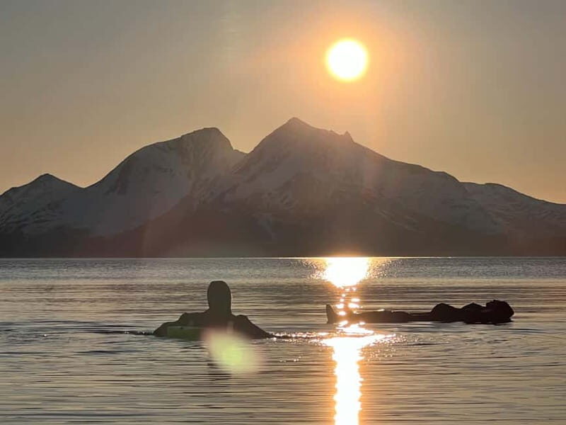 Tromsø: Fjord and Floating Safari, Arctic Floating - The Sum Up: Who Should Consider This Tour?
