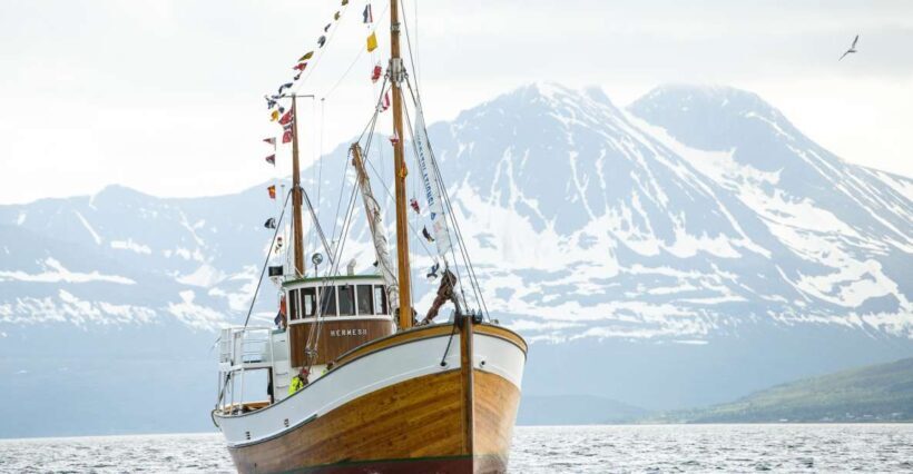 Tromsø: Fjord Fishing Cruise - An In-Depth Look at the Fjord Fishing Cruise