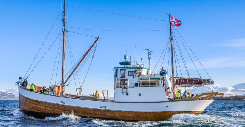 Tromsø: Fjord History Cruise with Snack and Drinks - A Deep Dive into the Fjord History Cruise Experience
