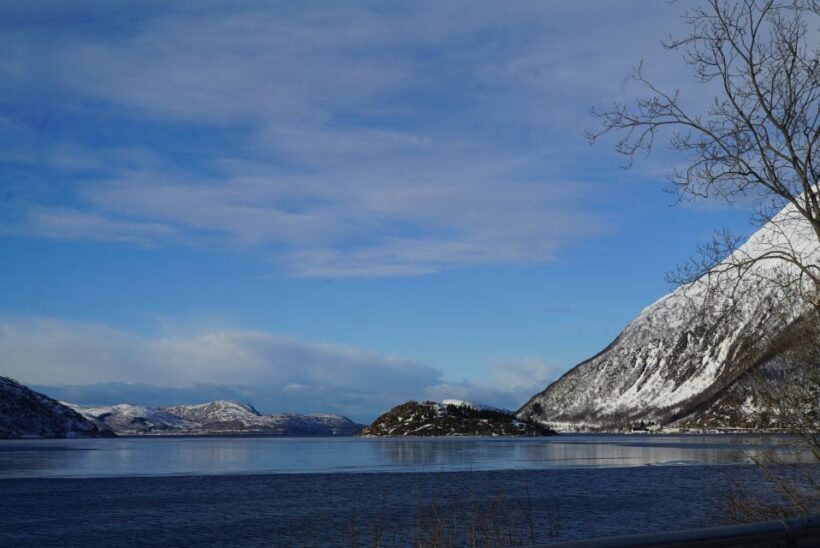 Tromsø: Fjord Sightseeing in a Tesla X Luxury Electric Car - References