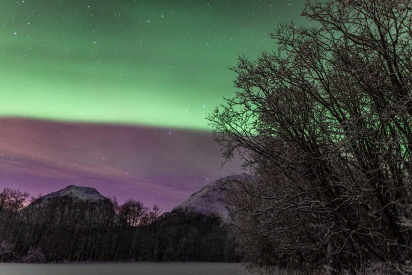 Tromsø: Fjords & Beaches Tour with campfire and photos - FAQs
